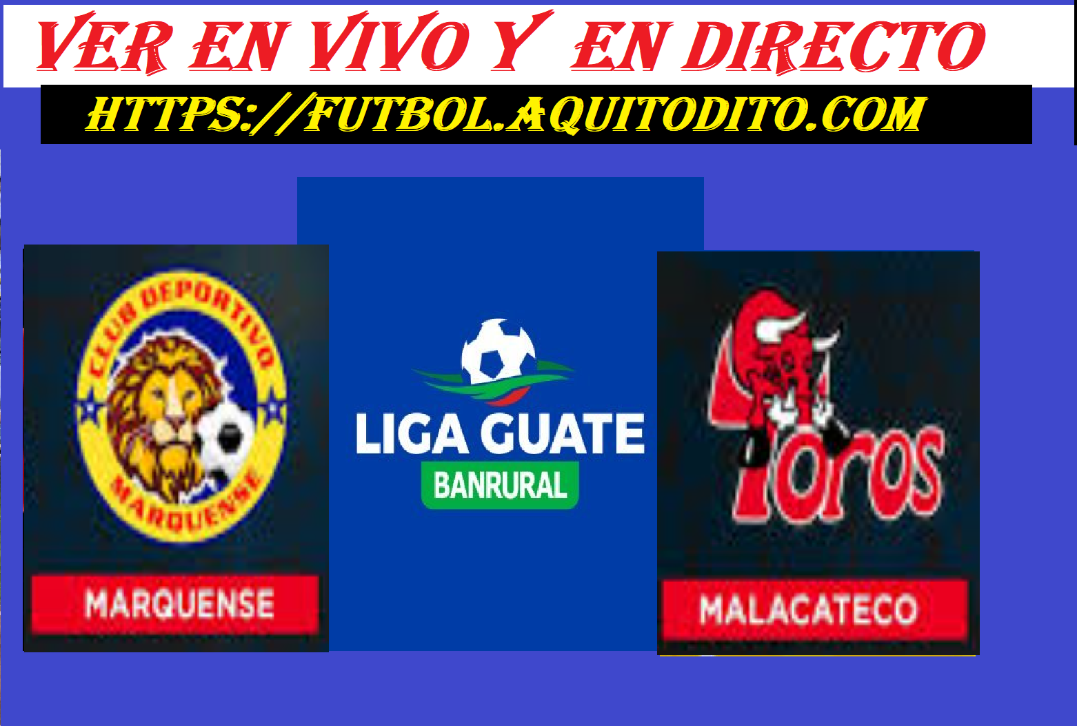 Malacateco vs Marquense EN VIVO y EN DIRECTO Jornada 16 Apertura 2024 ...